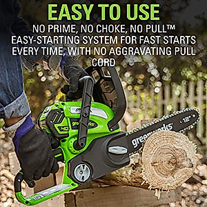 Greenworks 40V 12" Chainsaw, 2.0Ah Battery and Charger Included