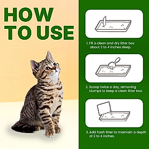 SPOT by Ethical Products – Dr Bales One Source 100% Natural Cat Litter from Yuca Root/Cassava - 2X Long Lasting - Dust Free, Odor Controlling Premium Clumping Cat Litter - 4.4lbs - Small (34002)