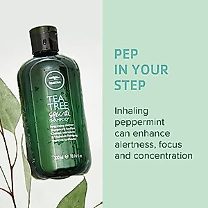 Tea Tree Special Shampoo, Deep Cleans, Refreshes Scalp, For All Hair Types, Especially Oily Hair, 33.8 fl. oz.