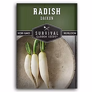 Survival Garden Seeds - Daikon Radish Seed for Planting - Packet with Instructions to Plant and Grow Japanese Radish Vegetables in Your Home Vegetable Garden - Non-GMO Heirloom Variety
