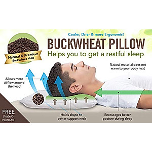 Daiwa Felicity 100% Natural Premium Buckwheat Sobakawa Pillow with Pillow Protective Cover (2 Pack)