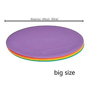 Eco Walker 10inch Spot Markers Flat Field Cones