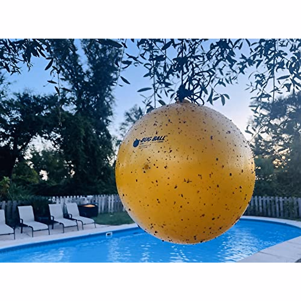 Gnat Ball Starter kit - Gnats, House Fly, No-See-Um, Aphids whiteflies,and Love Bug Trap