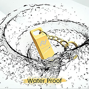 Imphomius 128GB Metal USB 2.0 Flash Drive with Keychain Waterproof and Dustproof Thumb Drive exFAT Memory Stick 128 GB Jump Drive for Storage and Backup, Gold