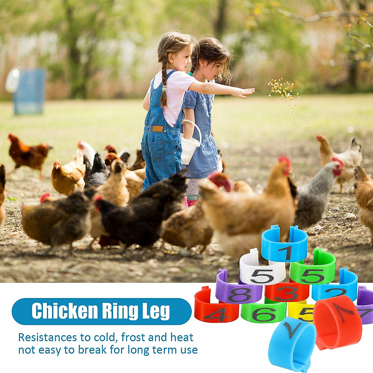 48 Pieces 16 mm Medium Chicken Leg Rings Multiple Colour Chicken Identification Leg Bands Numbered Clip on Leg Rings for Gamefowl Turkey Duck Goose Guinea Fit 1/2 to 5/8 Inch Legs