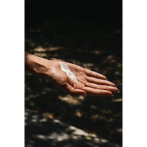 REVERIE - Natural Rake Styling Balm | Sulfate-Free, Silicone-Free, Color-Safe, Clean Hair Care (Full Size, 2.5 oz | 74 ml)