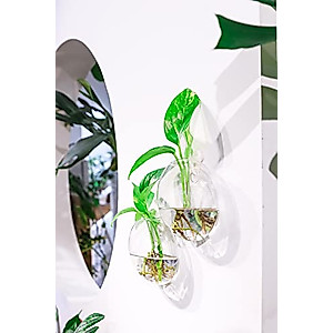 Ivolador Wall Mounted Plant Terrariums Oblate Hanging Glass Propagation Station Container for Propagating Hydroponic Plants Home Garden Wedding Décor