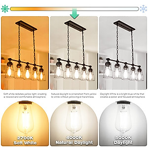 Hansang Dimmable Edison Light Bulbs E26 LED Bulb 60 Watt Equivalent, 4000K Natural Daylight Vintage Light Bulbs E26 Standard Base, Antique ST58 6W LED Filament Bulb,CRI 85+, Clear Glass, 700LM, 6 Pack