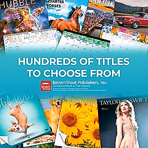 America | 2024 12 x 24 Inch Monthly Square Wall Calendar | Foil Stamped Cover | BrownTrout | USA United States Scenic Nature