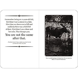 The Yellowstone National Park Signature Notebook: An Inspiring Notebook for Curious Minds (The Signature Notebook Series)