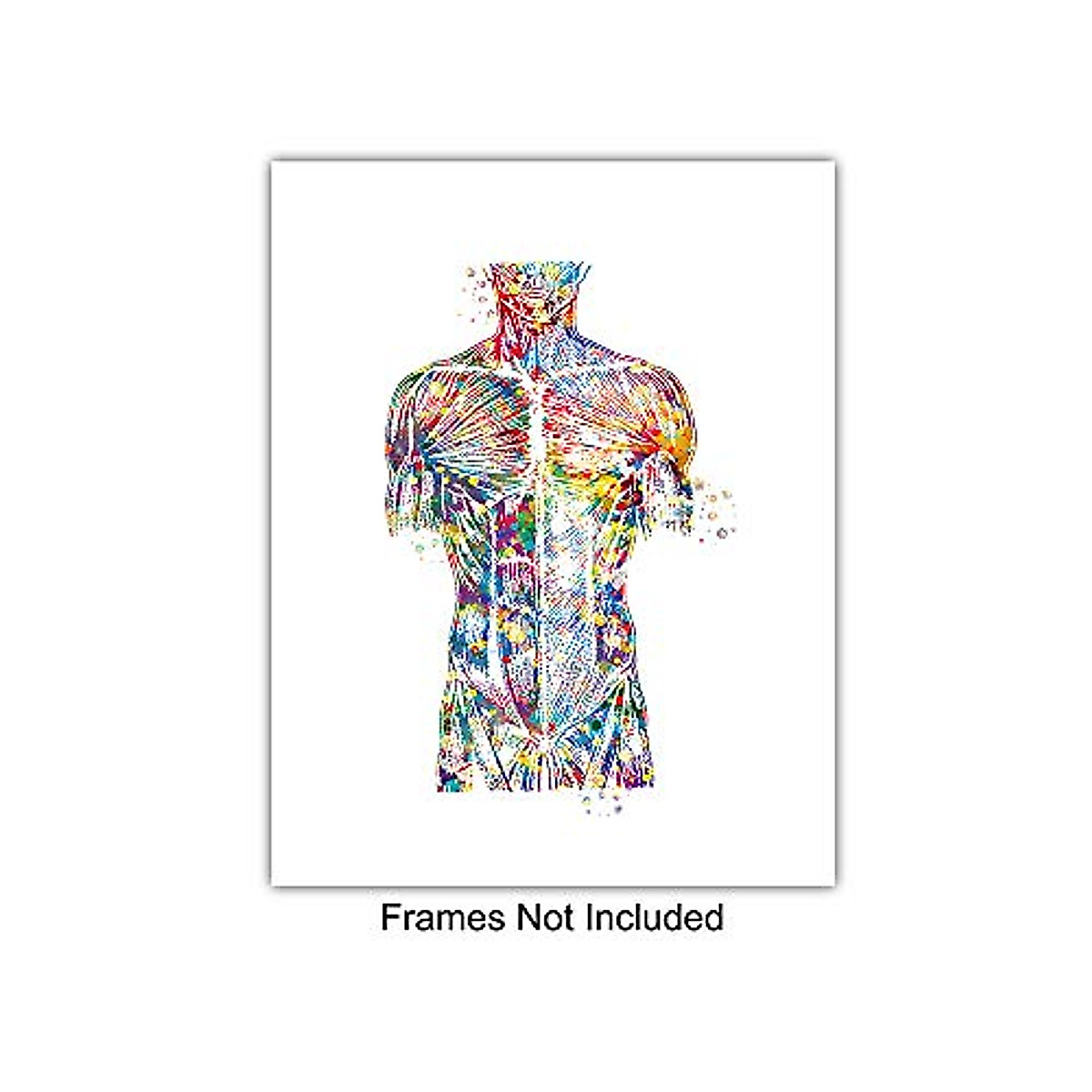 Modern Human Anatomy Room Decorations - Gift for Doctor, Nurse, Physicians Assistant, RN - Room Decor Wall Art Set for Medical Office, Home, Apartment, Living Room - Set of 3-8x10