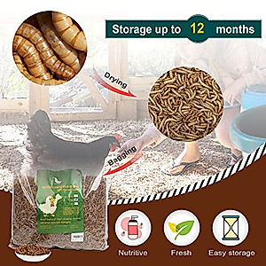 Euchirus Non-GMO High-Protein Large Dried Mealworms for Chickens, Natural Grubs and Poultry Treats as Chicken Feed,Duck Food, Wild Birds Seed,Fish Food,Reptile Food,Amphibian Food(Mealworms-5LB)