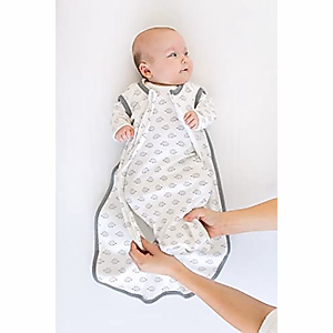 SwaddleDesigns Baby Sleep Sack 0-6 months, Cotton Knit Wearable Blanket with 2-way Zipper, Non-Weighted Sleeping Sack for Safer Sleep, Tiny Hedgehogs, Small