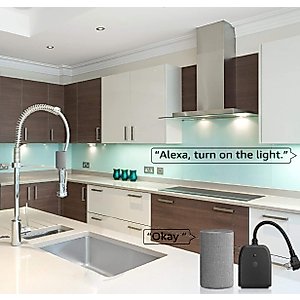 LITEdge Outdoor Smart Plug, WiFi 2-in-1 Plug Power Outlet, Compatible with Google Home & Alexa, APP Cordless Remote Control Smart Outlet Socket, Remote Control, Timer, Waterproof