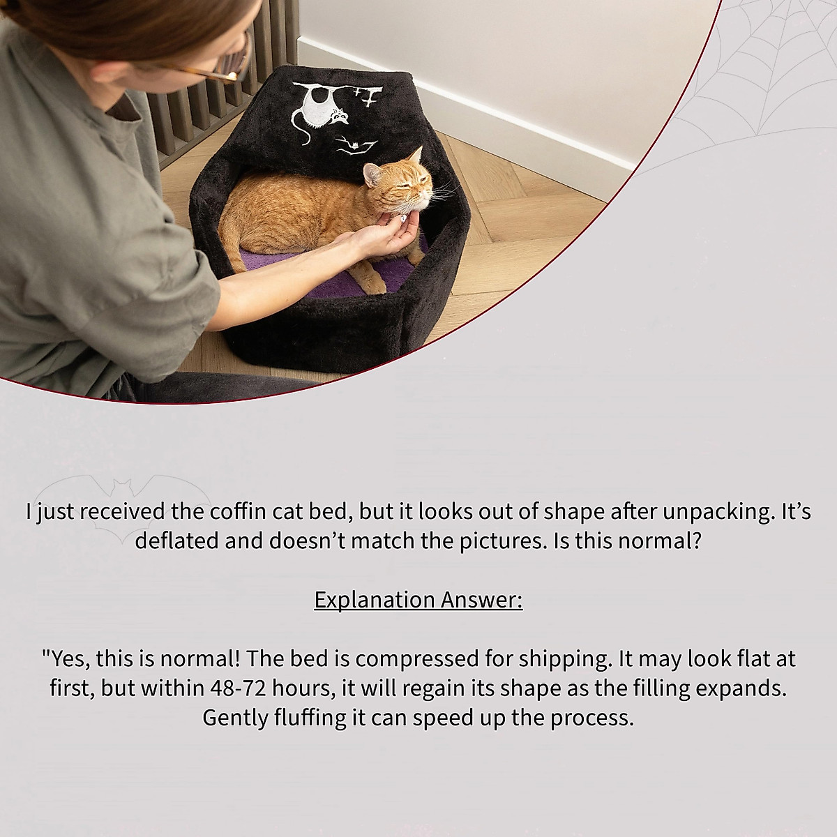 Littlesy Gothic Cat Bed with Purple Cushion - Coffin Cat Bed Ideal as Halloween Cat Bed, Perfect Goth Cat Bed in Black and Purple for Gothic-Themed Homes