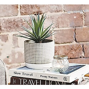Kurrajong Farmhouse Artificial Plant | 8" Fake Plant | Artificial Succulent in Pot | Fake Succulent | Faux Plant Indoor | Succulent Plant Artificial | Faux Succulent in Pot