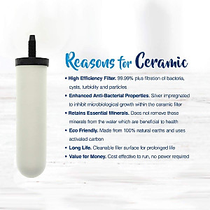 Doulton W9121214/British Berkefeld W9121215 0.5 Micron ATC Super Sterasyl Ceramic Water Filter for Gravity Systems (2 Pack)