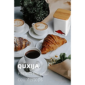 QUXIJA Ceramic Tea Bag Storage Organizer Caddy Holder with Lid (White)