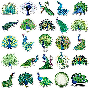 Peacock Stickers, 50PCs, Vinyl Cute Animal Sticker Decals, Kids Decorative DIY Stickers for Hydro Flask, Laptop, Water Bottle, Helmet, Car, Stickers for Kids, Toddlers, Teens, Girls Peacock