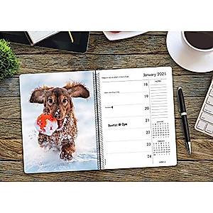 What Dogs Teach Us 2021 Engagement Calendar