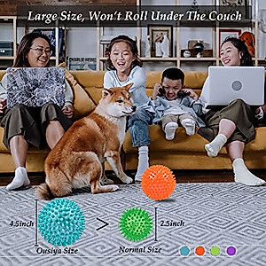 Ousiya 4.5”Dog Balls Squeaky Dogs Toys for Medium Large Dog Toys for Aggressive Chewers Spiky Ball Big Outdoor Chew Dogs Toys
