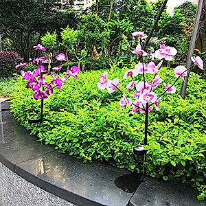 Crisist Solar Pathway Light, Beautiful Elegant Solar Power 2Pcs/Set Garden Light, for Home Outdoor