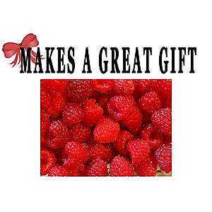 Fresh Raspberry Kitchen Glass Cutting Board Decorative Gift For Mom Red Raspberries Design