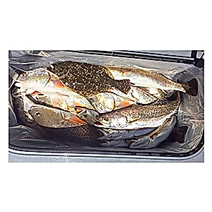 Allinliner Cooler Liner - 3-Pack Disposable Cooler Insert Liner - BPA-Free Plastic Liner for Carry Cooler - Heavy-Duty Liners for 60qt-95qt Day Coolers - Great for Fishing, Hunting, Camping, BBQ