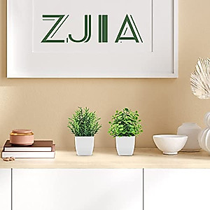 ZJIA 2 Packs Fake Plants Small Artificial Greenery Faux Plants Indoor for Home Farmhouse Bathroom Shelf Decor