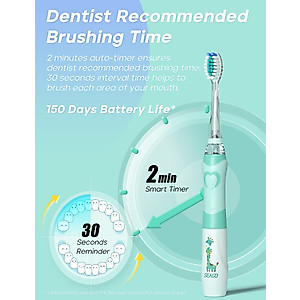 SEAGO Kids Electric Toothbrush with 2 Mins Brushing Timer and 4 Replacement Bursh Heads, Rainbow LED Light Make Brushing Fun, Green Color Boys Battery Powerd Toothbrush for 4-12 Years Old，SG-977