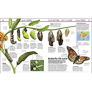 Knowledge Encyclopedia (Updated and Enlarged Edition): The World as You've Never Seen It Before (DK Knowledge Encyclopedias)