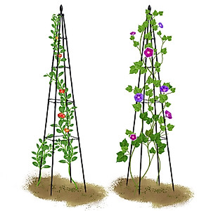 Lalahoni 2 Pack Garden Trellis for Climbing Plants Outdoor Indoor Pot | 67inch Tall Plants Trellis Support with Adjustable Stake Arms | Garden Obelisk Trellis, Lightweight, Black