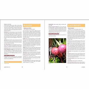 Small-Space Vegetable Gardens: Growing Great Edibles in Containers, Raised Beds, and Small Plots