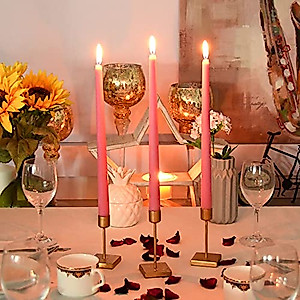 Zest Candle 12-Piece Taper Candles, 12-Inch, Pink