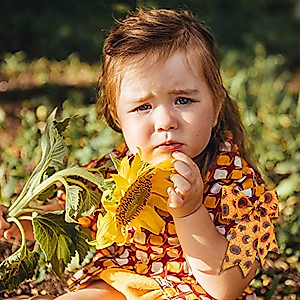 Kuscul 8 Rolls 32 Yards Sunflower Wired Ribbon Fall Autumn Wired Edge Ribbon Thanksgiving Fabric Decorative Ribbon for Gift Wrapping Hair Bow Sewing Crafts Wreath, 2.5in/ 1.5in