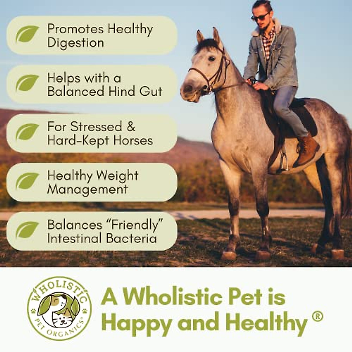 Wholistic Pet Organics Digest-All Plus: Horse Probiotics Powder - Equine Probiotics and Prebiotics with Digestive Enzymes - Equine Digestive Supplements for Gas, Constipation and Gut Health - 1 Lb