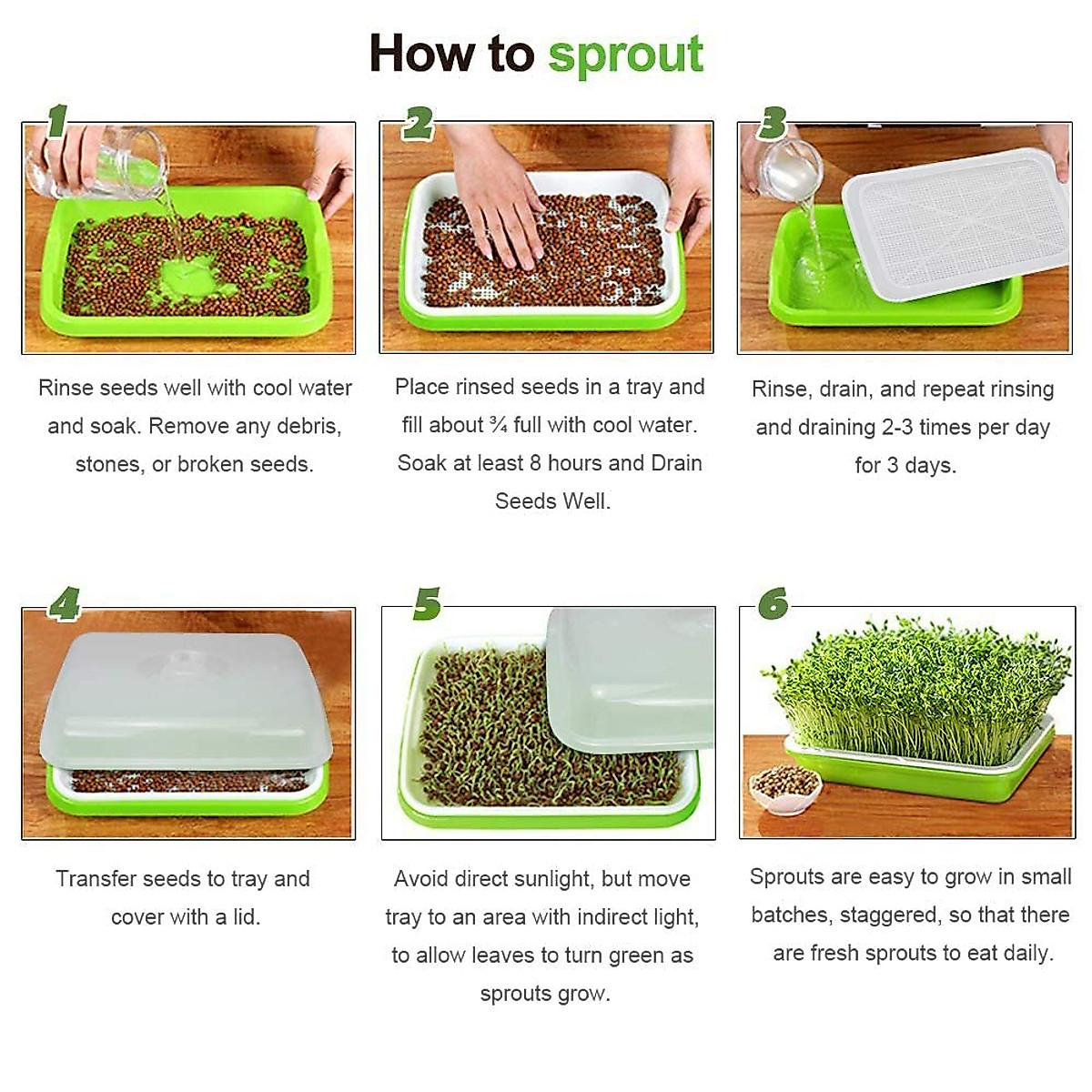 SUNPRO 3-Pack Seed Sprouter Tray BPA Free PP Soil-Free Big Capacity Healthy Wheatgrass Grower Sprouting Container Kit (3Packs,Green Mesh Tray with 6 Zone,White Bottom Tray)