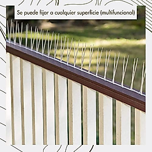 Bird Blinder Plastic Bird Spikes - Polycarbonate Deterrent for Pigeons and Other Small Birds - Bird Nest Prevention, Bird Repellent Outdoor Devices (16 Foot Coverage)