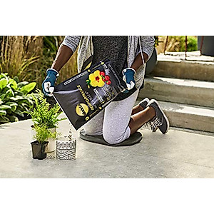 Miracle-Gro Performance Organics All Purpose Container Mix, 6 qt. - Organic, All Natural Plant Soil - Feed for up to 3 Months - All-Purpose Formula for Vegetables, Flowers and Herbs