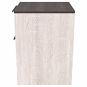 Signature Design by Ashley Dorrinson Modern Farmhouse Filing Cabinet with 2 Drawers, Whitewash & Brown