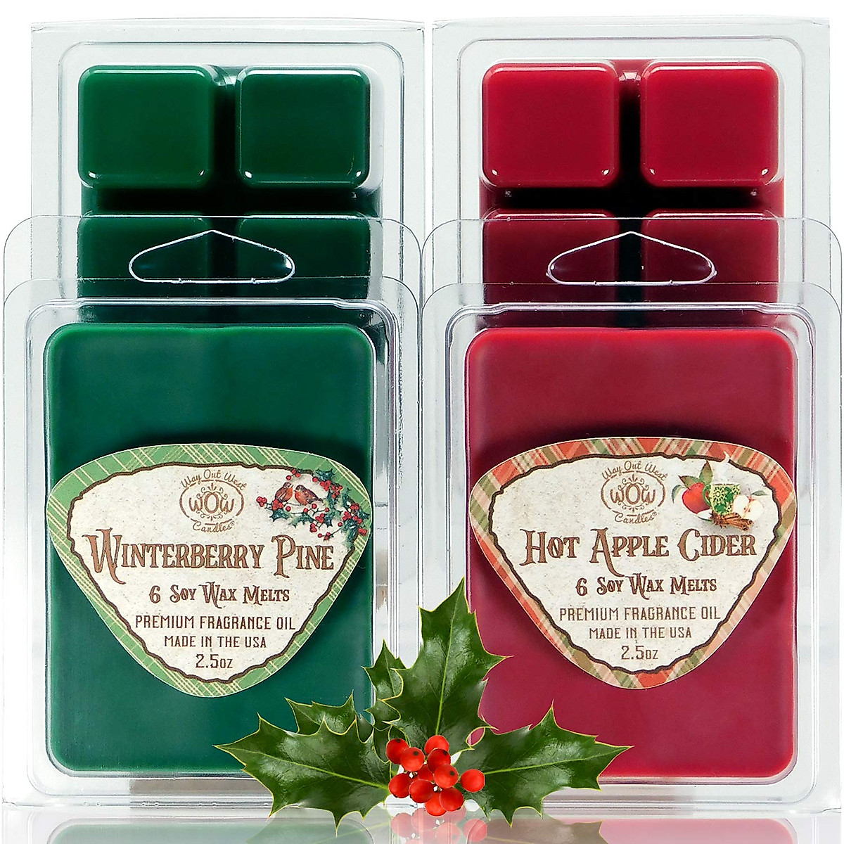 Way Out West Candles Scented Wax Melts for Wax Warmers - Highly Fragrant Air Freshener - 4 Pack Assorted Set of 6 Melt Cubes - Made in USA (4, Hot Apple Cider & Winterberry Pine)