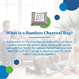 PureGuardian CB500 Bamboo Charcoal Air Purifying Bag, Eco-Friendly, Naturally Absorbs Odors, Excess Moisture and Pollutants, 500g, Gray
