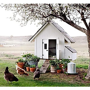 Amtrak Solar Powerful 50-Watt 12" Plastic Fan with 7" Metal Blade Solar Fan for travel and camping (Portable)