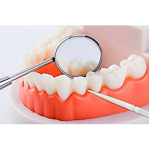 Little Dreams Products Double-Head Brushed Toothpick Interdental Brush Toothbrush for Dentures Soft Plastic Oral Care 2.4 Inch Long Rinse The Tooth. 200 Count (Blue)