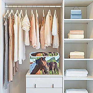 Kigai Storage Basket Funny Horse Storage Boxes with Lids and Handle, Large Storage Cube Bin Collapsible for Shelves Closet Bedroom Living Room, 16.5x12.6x11.8 In