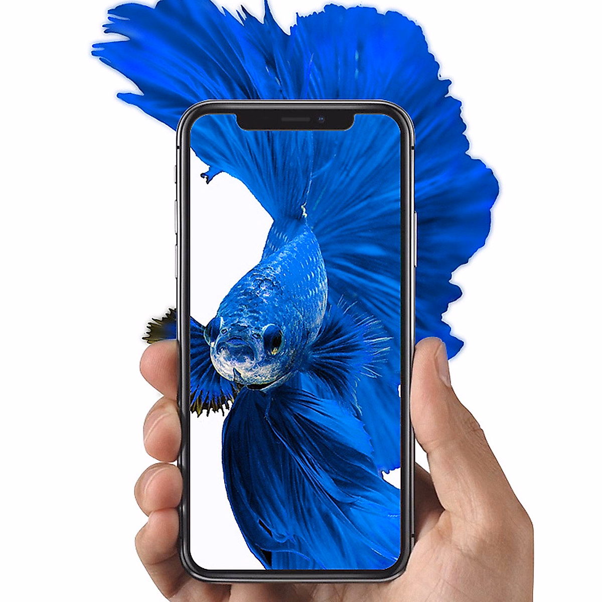 MAOUICI Tempered Glass Screen Protector for Nintendo Switch (6.2 inch),Case Friendly 9H Hardness HD Clear Anti-Fingerprint Film for Nintendo Switch [2-Pack]