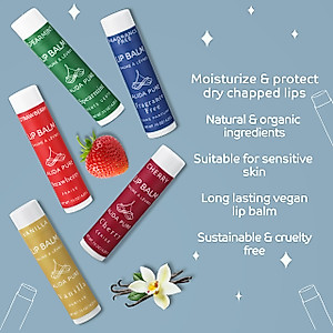 ALIDA PURE Vegan Melody Lip Balm Collection, Cruelty Free, Beeswax Free, Coconut Oil Free, 5 Lip Balm Set, Organic Jojoba Oil, Avocado Oil, and Vitamin E, Natural Moisturizing Lip Balm | Lip Gloss, for Dry, Chapped, or Cracked Lips