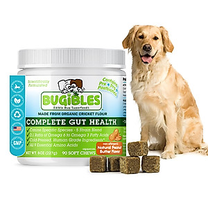 Bugibles Probiotics for Dogs with Cricket Powder - Dog Probiotic Chews for Complete Gut Health (Pre, Pro & Post Biotics) - All-Natural Ingredients for Dogs Digestive Health, Allergy and Immune Support