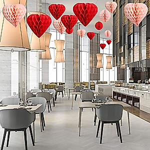 UNIQOOO 16 Pack Red Blush Pink Party Decoration Pom Pom | Heart & Ball Tissue Paper Honeycomb | Perfect for Party Decor, Wedding, Valentine's Day, Engagement, Bridal Shower, Baby Shower, Birthday