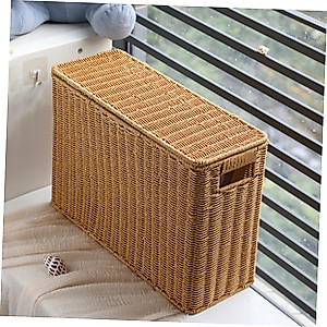 BUTIFULSIC Rattan Magazine Basket with Lid Thin Wicker Storage Decorative Sundries Organizer Handle Book Newspaper Rack